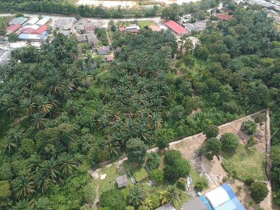 Agricultural Land for Sale in Labu (Negeri Sembilan) - Mohd Affyzan Ismail