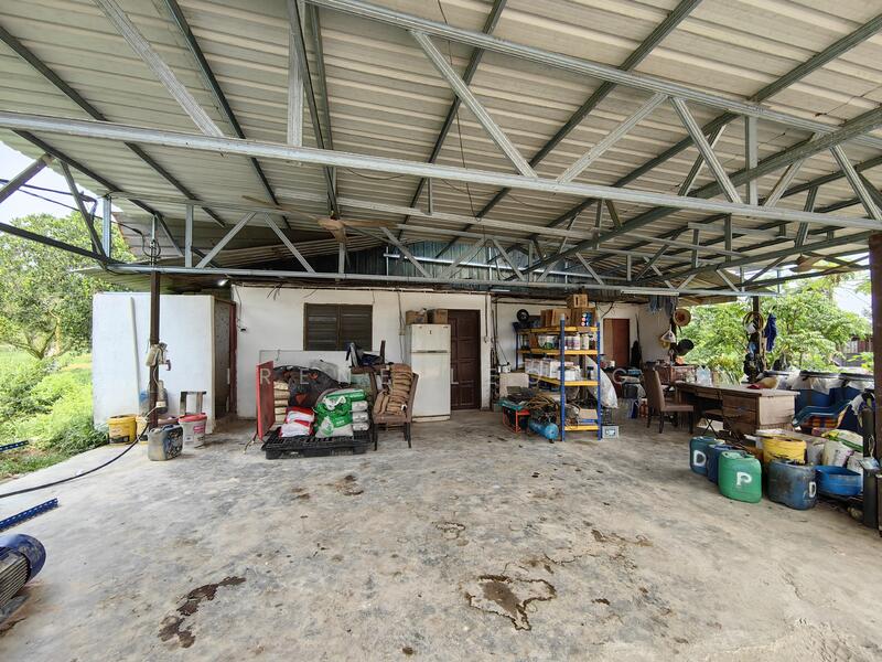 Agricultural Land for Sale in Lanchang (Pahang) - IRENE LEONG