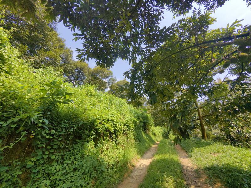 Agricultural Land for Sale in Bentong (Pahang) - IRENE LEONG