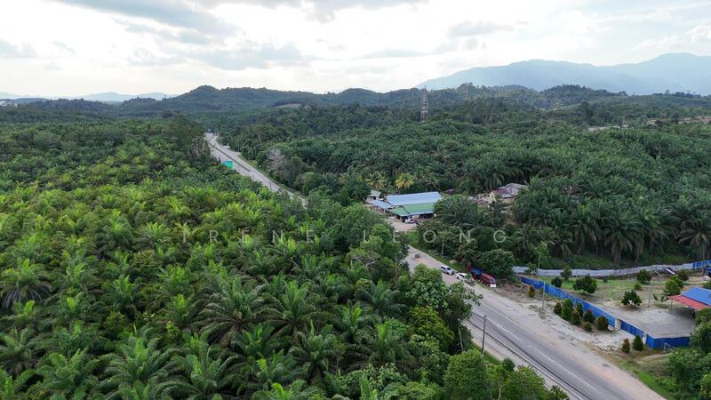 Agricultural Land for Sale in Kuantan (Pahang) - IRENE LEONG