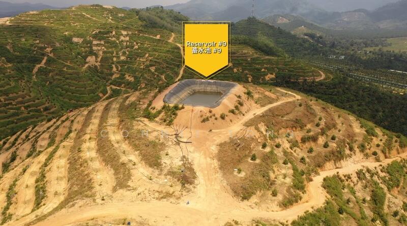 Agricultural Land for Sale in Telemong (Pahang) - Connie Tong