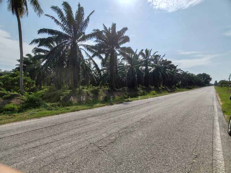 Agricultural Land for Sale in Jeram (Selangor) - Tan Ee Leng