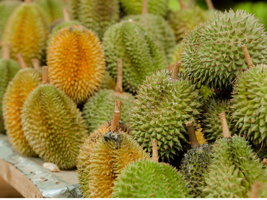 Agricultural Land for Sale in Bentong (Pahang) - Joyce Kok