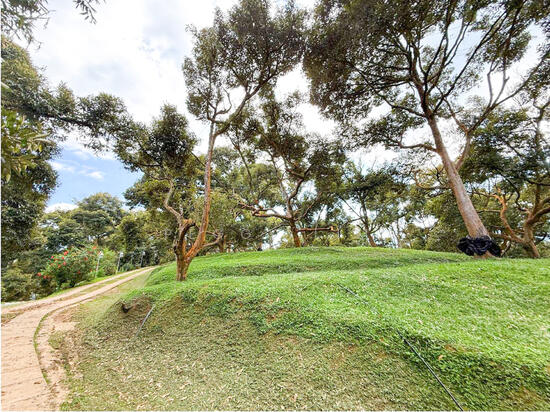Agricultural Land for Sale in Raub (Pahang) - Peggy Lim