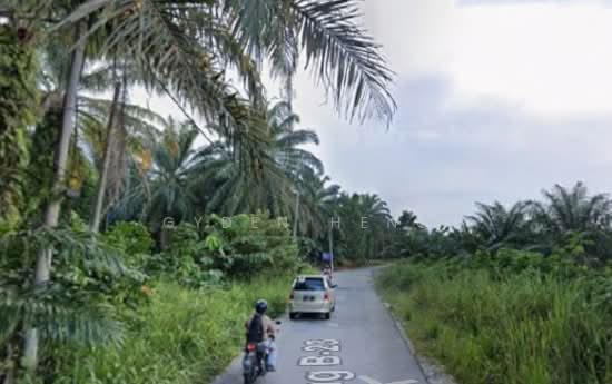 Agricultural Land for Sale in Kampung Bahagia Ulu Choh (Pekan Nanas ...