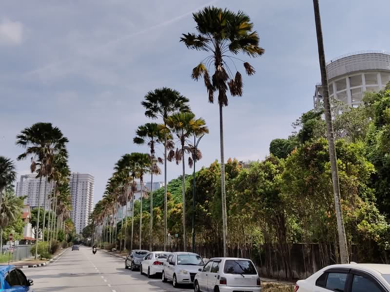 3-storey Terraced House for Sale in Setia Pearl Island (Bayan Lepas ...