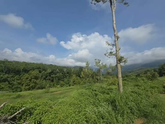 Agricultural Land for Sale in Kampung Baru Liman Kati (Kuala Kangsar ...