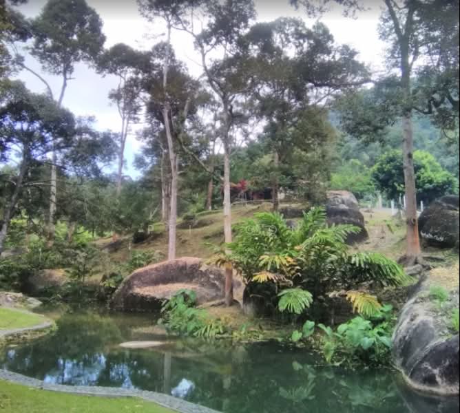Agricultural Land for Sale in Balik Pulau (Penang) - Pei Hoon