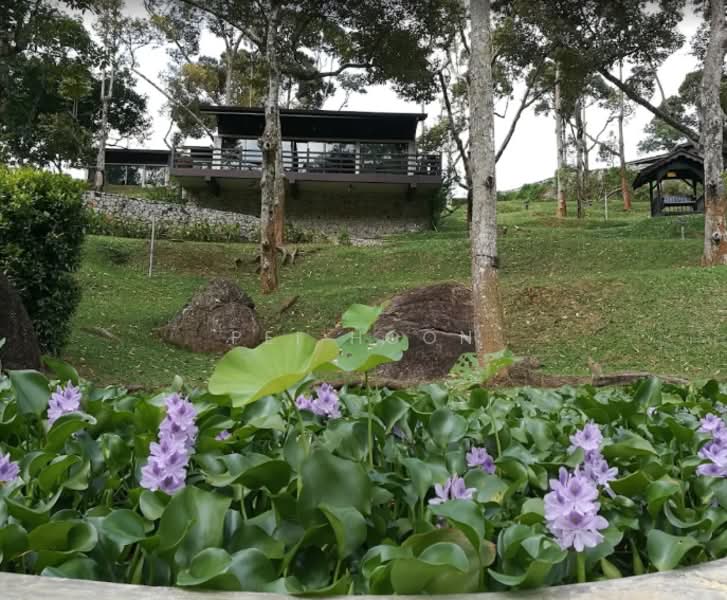 Agricultural Land for Sale in Balik Pulau (Penang) - Pei Hoon