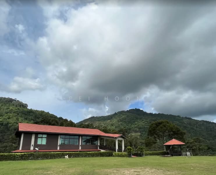 Agricultural Land for Sale in Balik Pulau (Penang) - Pei Hoon