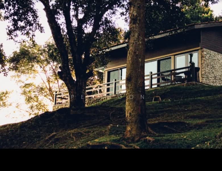 Agricultural Land for Sale in Balik Pulau (Penang) - Pei Hoon