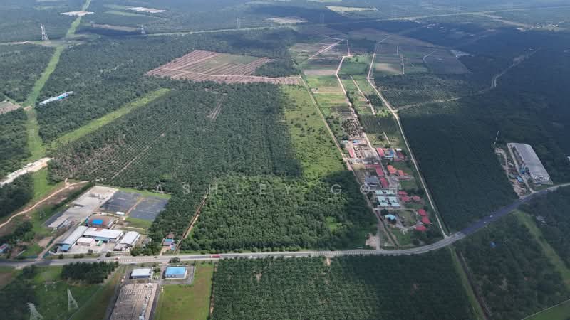 Industrial Land for Sale in Pontian (Johor) - Ashley Goh