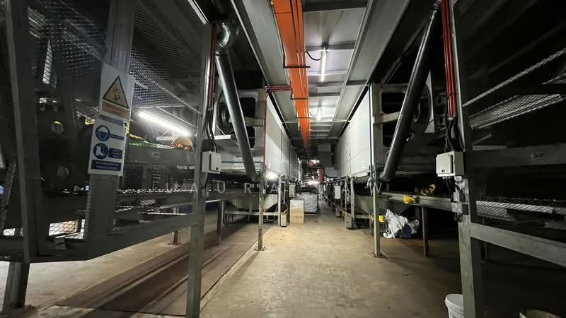 Detached Factory for Sale in Johor Bahru (Johor) - Laura Law