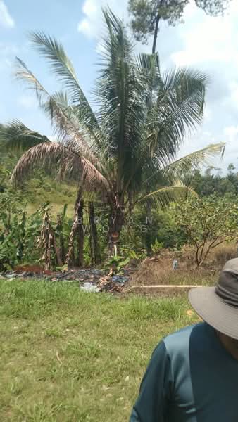 Agricultural Land for Sale in Batang Kali (Selangor) - Bryan Wong