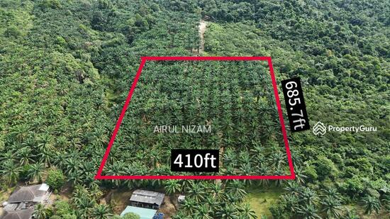 Agricultural Land for Sale in Kampung Lukut (Kota Tinggi) - AIRUL NIZAM