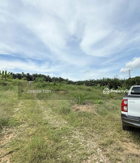 Sedenak Sedenak Sedenaks, Bandar Kulai, Kulai, Johor, , , Agricultural ...