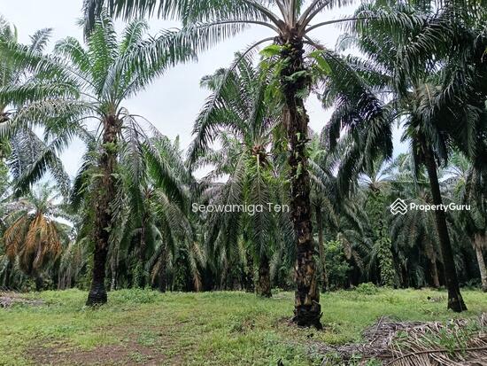 5 Acre Agricultural Land At Chaah,Yong Peng, Taman Sri Chaah, Chaah ...