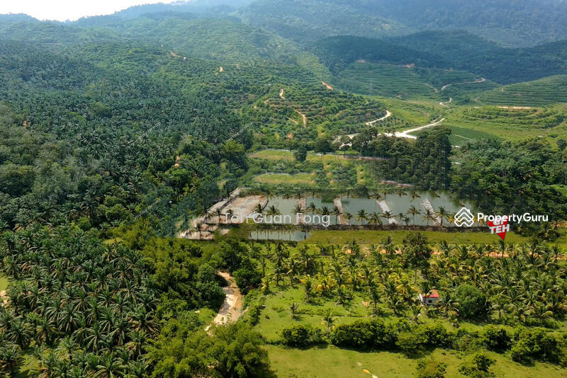 Residential Land for Sale in Kampung Padang (Kulim) - Teh Guan Fong