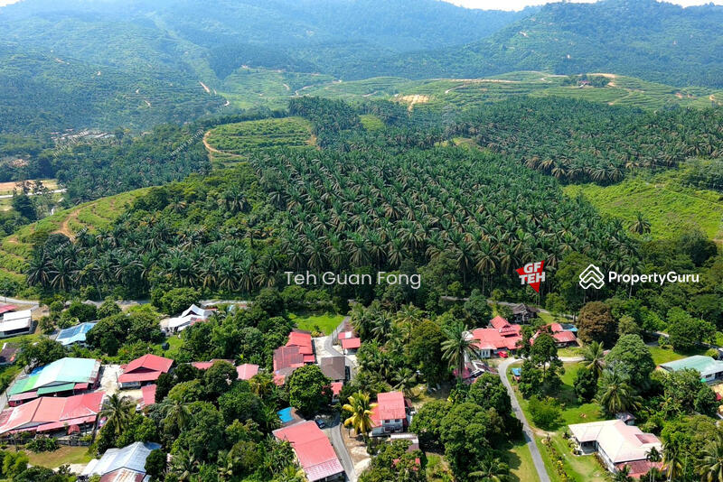 Residential Land for Sale in Kampung Padang (Kulim) - Teh Guan Fong