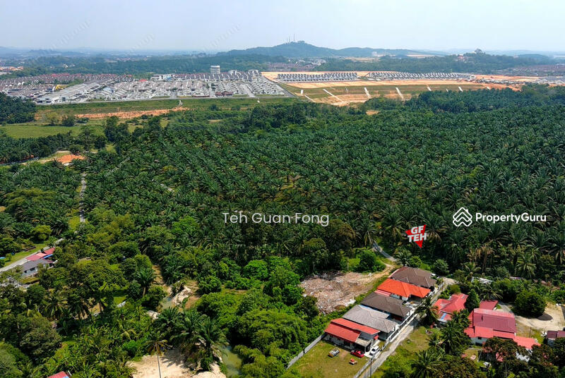 Residential Land for Sale in Kampung Padang (Kulim) - Teh Guan Fong