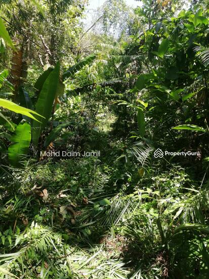 TANAH PERTANIAN SESUAI UNTUK DURIAN, GETAH, SAWIT, Mukim Dong, Raub ...