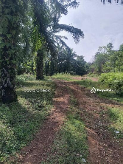 Agricultural Land for Sale in Taman Lukut (Lukut) - David Cheok