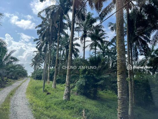 Agricultural Land for Sale in Saleng (Senai) - CHUNG JEN FUNG
