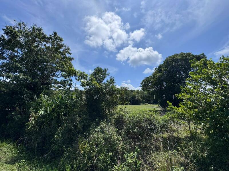 Agricultural Land for Sale in Kampung Baru Ubai (Penor) - Fazielawatie ...