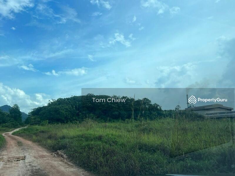 Agricultural Land for Sale in Ulu Choh (Jeram Batu) - Tom Chiew