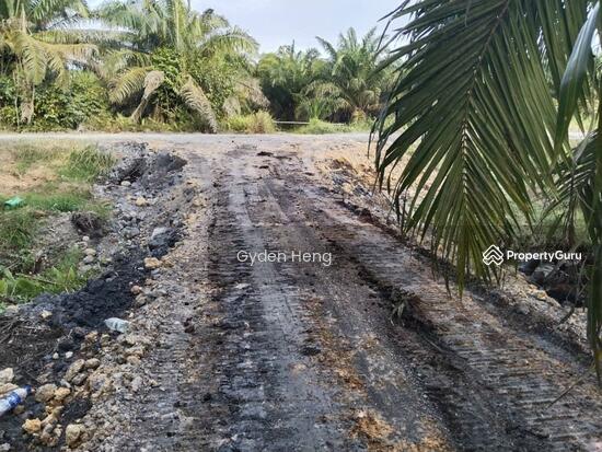Agricultural Land for Rent in Kampung Parit Sikom Lapis (Ayer Baloi ...