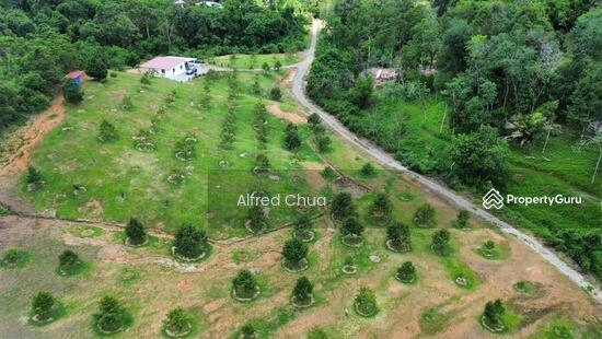 Agricultural Land for Sale in Siburan (Kuching) - Alfred Chua