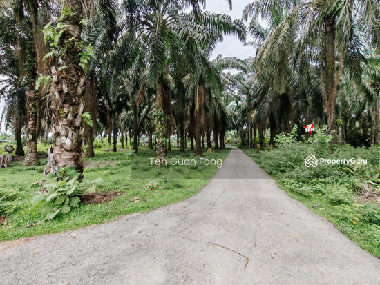Agricultural Land for Sale in Taman Serai Setia (Padang Serai) - Teh ...