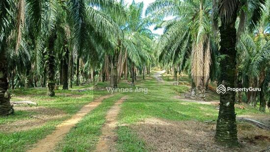 Tasek Gelugor untuk Untuk Dijual - RM 4,920,000 (2024) | PropertyGuru ...