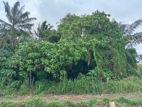 Commercial Land for Sale in Alma (Bukit Mertajam) - Yee Choi Hong