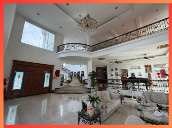 Stulang Laut Stulang Laut Stulang Lauts untuk Untuk Dijual - RM ...