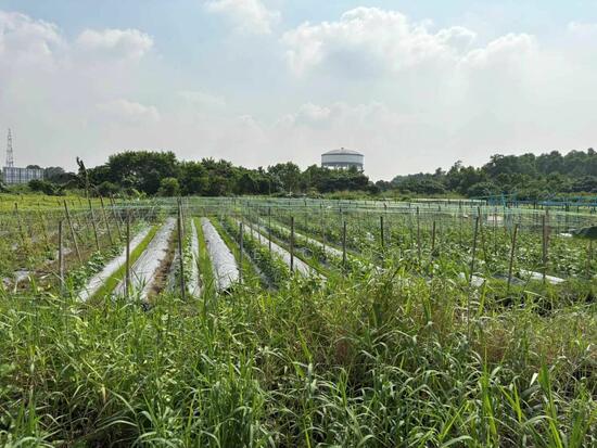 CHEAP 1-5 acre Land at Johan Setia Klang. Next to Bukit Rimau, Rimbayu ...