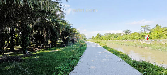 1.2 acres Agricultural Land | Sungai Junjong | Simpang Ampat | SPS ...