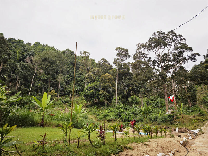 Agricultural Land for Sale in Taman Sri Tunas (Bayan Lepas) - Teh Guan Fong