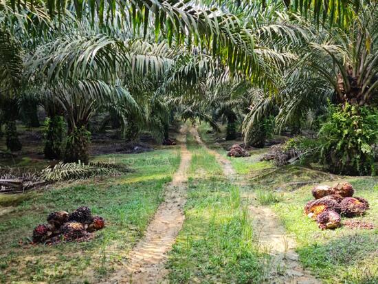 Kota Tinggi untuk Untuk Dijual - RM 32,760,000 (2024) | PropertyGuru ...