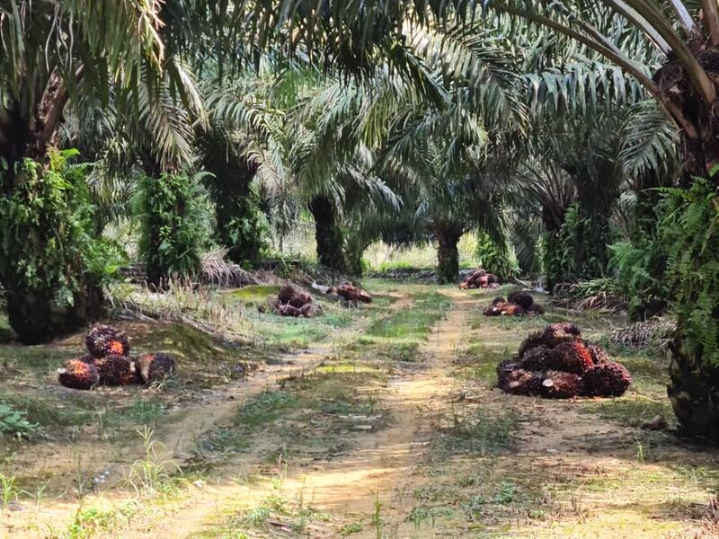 Kota Tinggi untuk Untuk Dijual - RM 32,760,000 (2024) | PropertyGuru ...