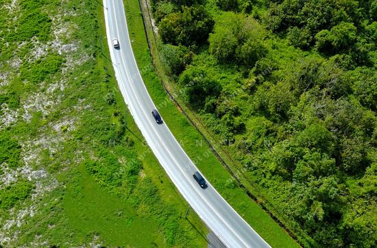 Agricultural Land for Rent in Junjong (Kedah) - Teh Guan Fong