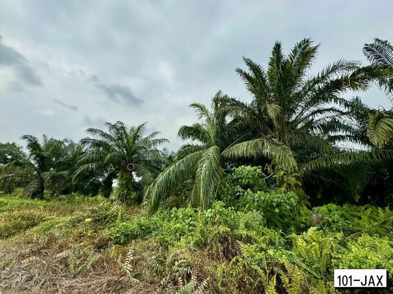 Agricultural Land for Sale in Taman Johan Setia (Klang) - Hao Kai Khaw